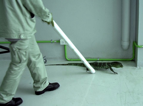 Unexpected Guest At The Production Facility